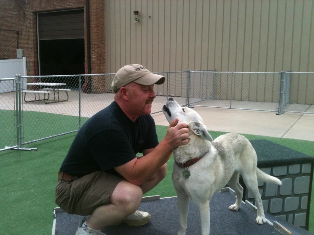 Ross and Alley - Frisky Dog Daycare